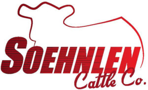 Soehnlen Cattle Co Heifer Sale - SmartAuctions Cattle Sales - Be Mobile ...